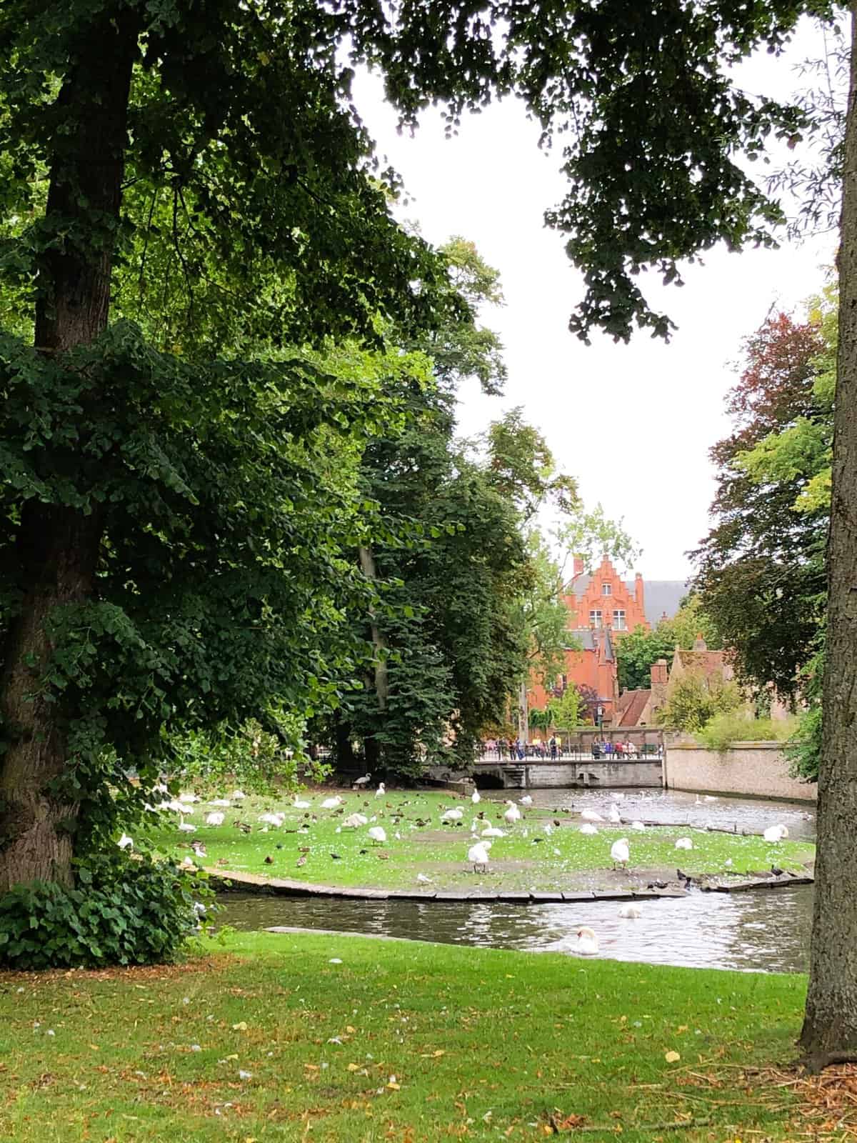 Ultimate Guide On How to Spend Two Days in Bruges, Belgium